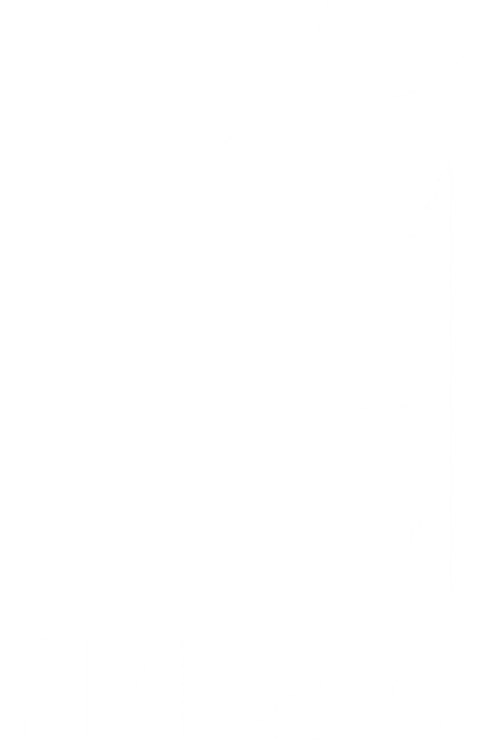 PMCare Logo – iHEAL Medical Centre